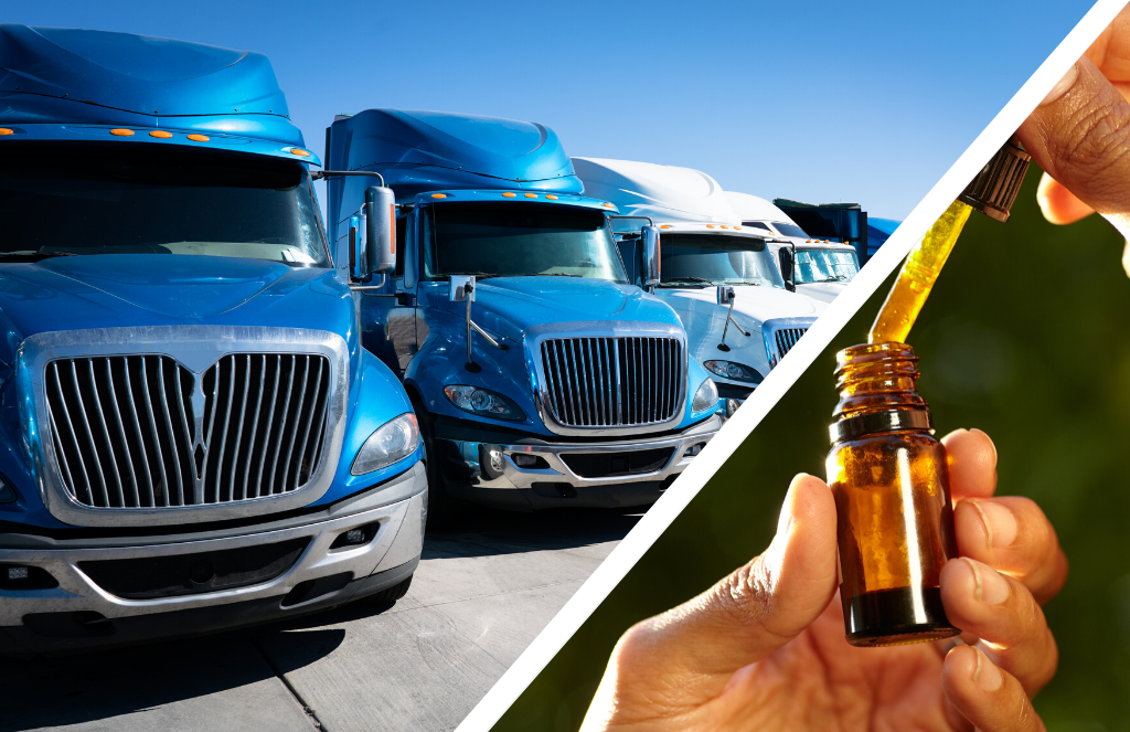 Understanding ASAM Criteria in DUI Alcohol & Drug Assessment